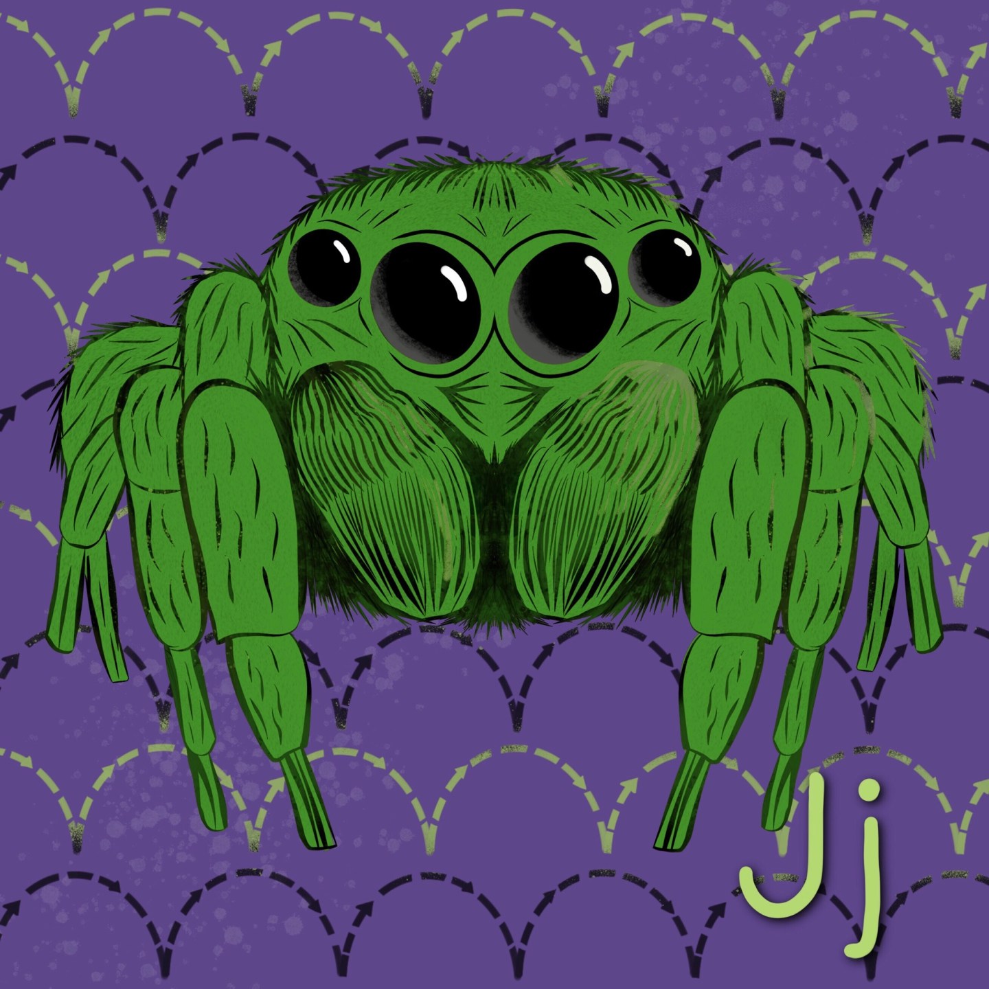 I Share My Favourite Luxury With a Jumping Spider – Kids Book ...