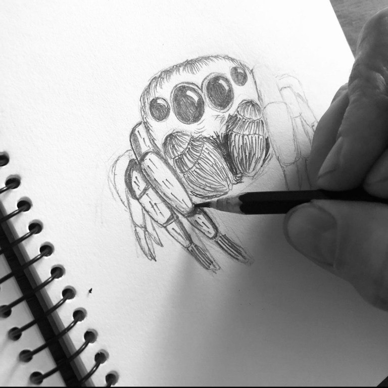 I Share My Favourite Luxury With a Jumping Spider – Kids Book ...